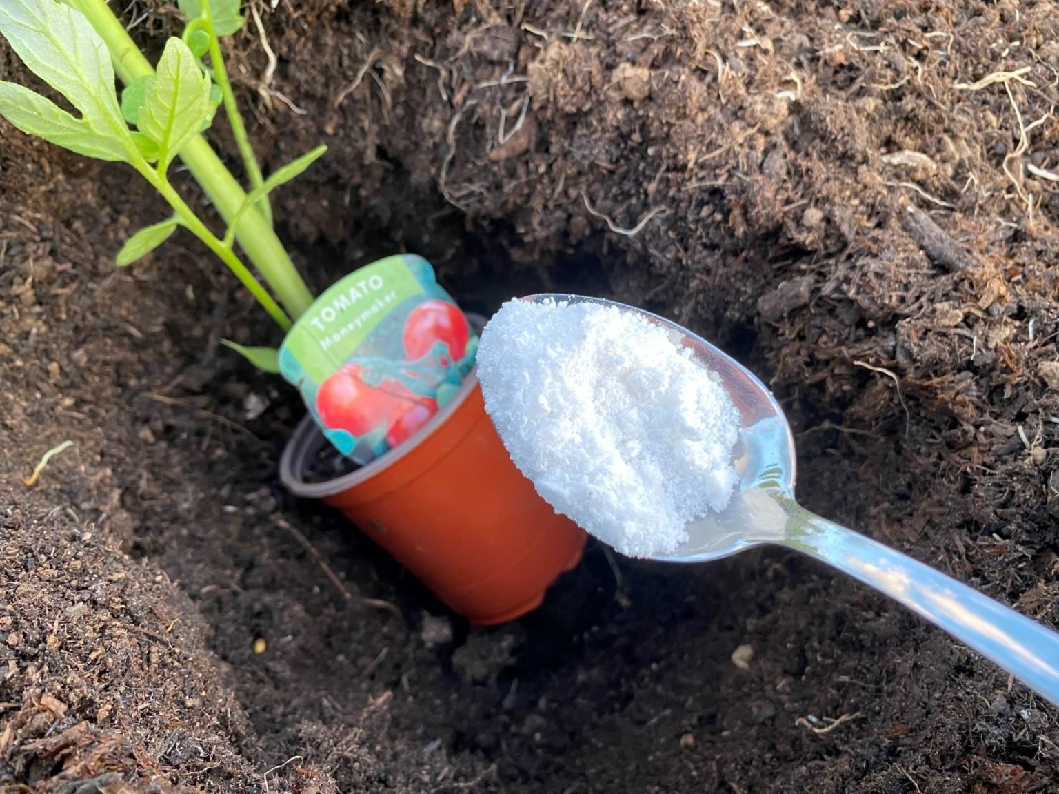 Tomato Plant Spacing - How Far Apart To Plant Tomato Plants? - Tomato Bible Tomato Plant Spacing - How Far Apart To Plant Tomato Plants? - Tomato Bible