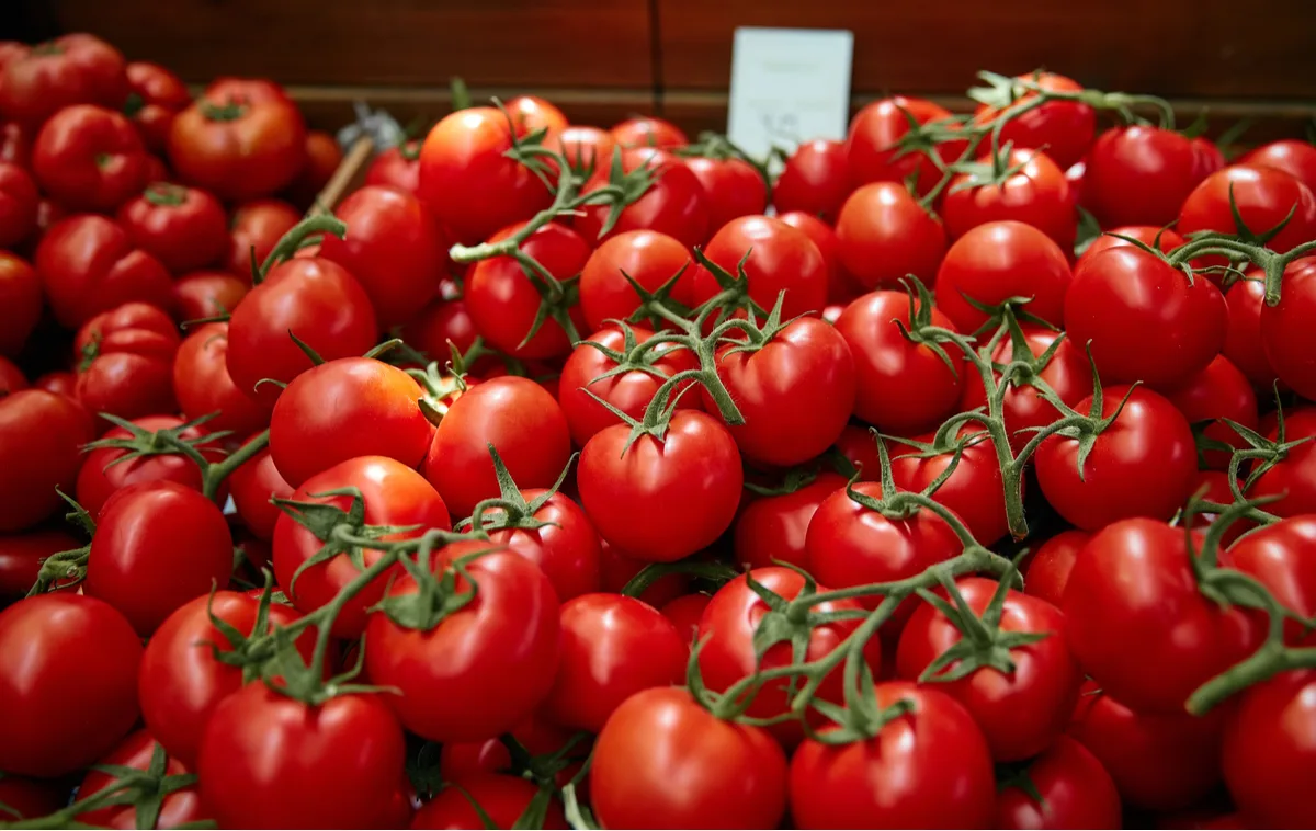 12 Recipes That Use A Whole Load Of Tomatoes - Tomato Bible