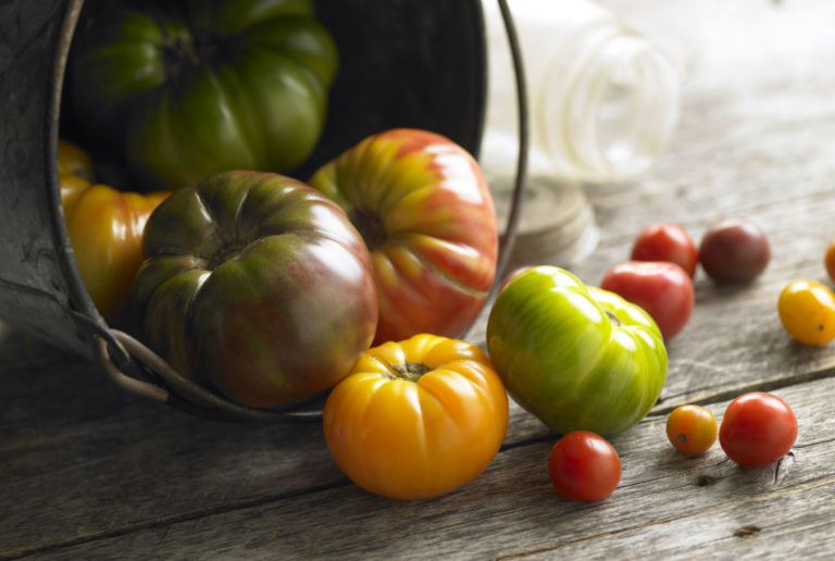 3 Clever Ways To Grow Tomatoes Through Winter - Tomato Bible