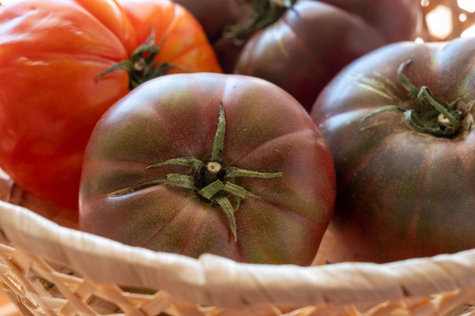 Black Krim Tomato Profile & Grow Guide - Tomato Bible