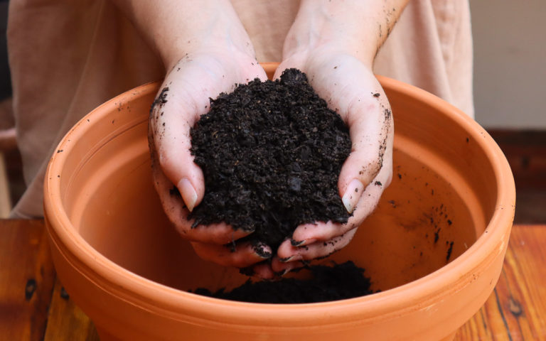 The Perfect Potting Soil Mix For Growing Tomatoes In Pots - Tomato Bible