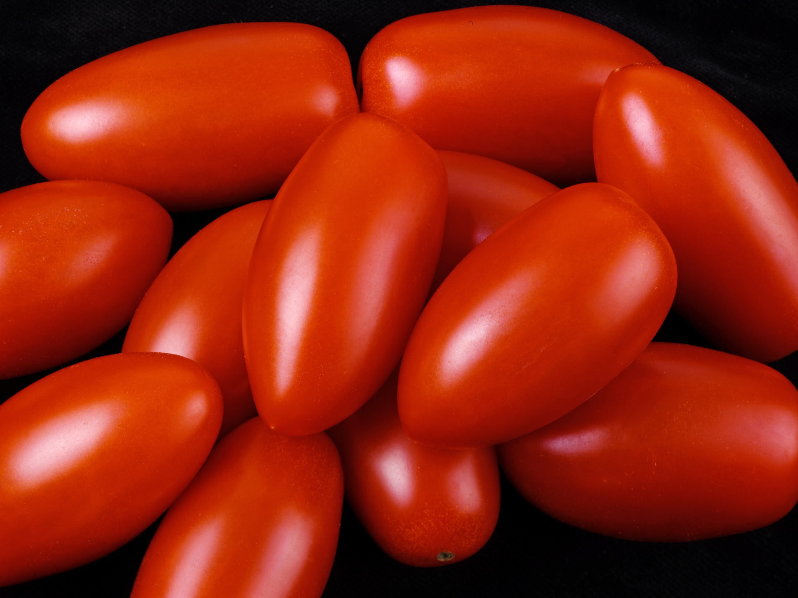 San Marzano Tomato Profile & Grow Guide - Tomato Bible